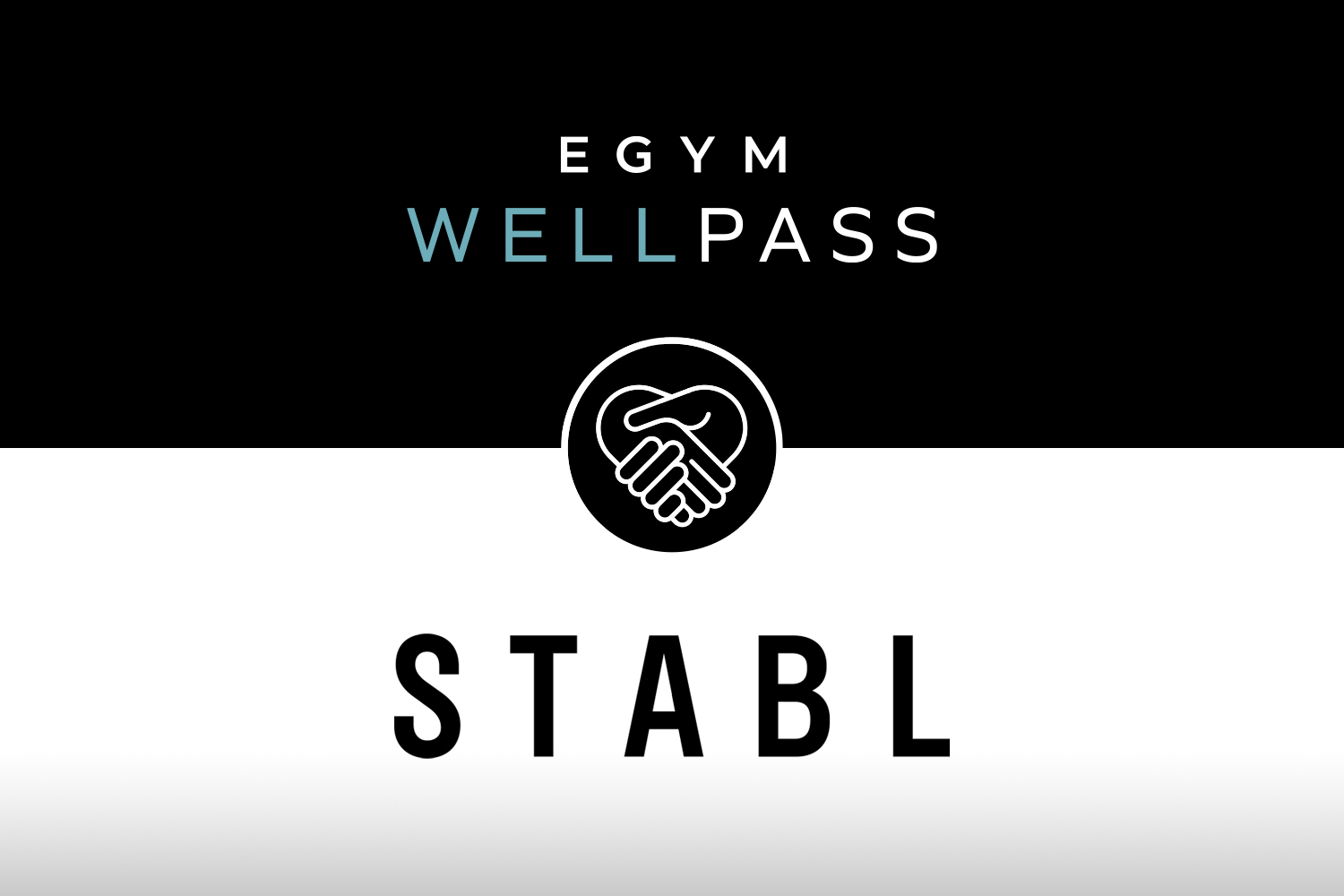 EGYM Wellpass Erfolgsstory: STABL Energy